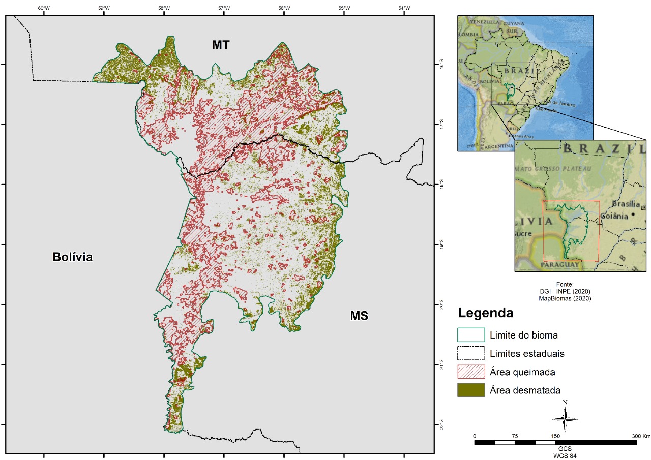 Prejuízos ao Pantanal causados pelas queimadas e desmatamentos podem ...