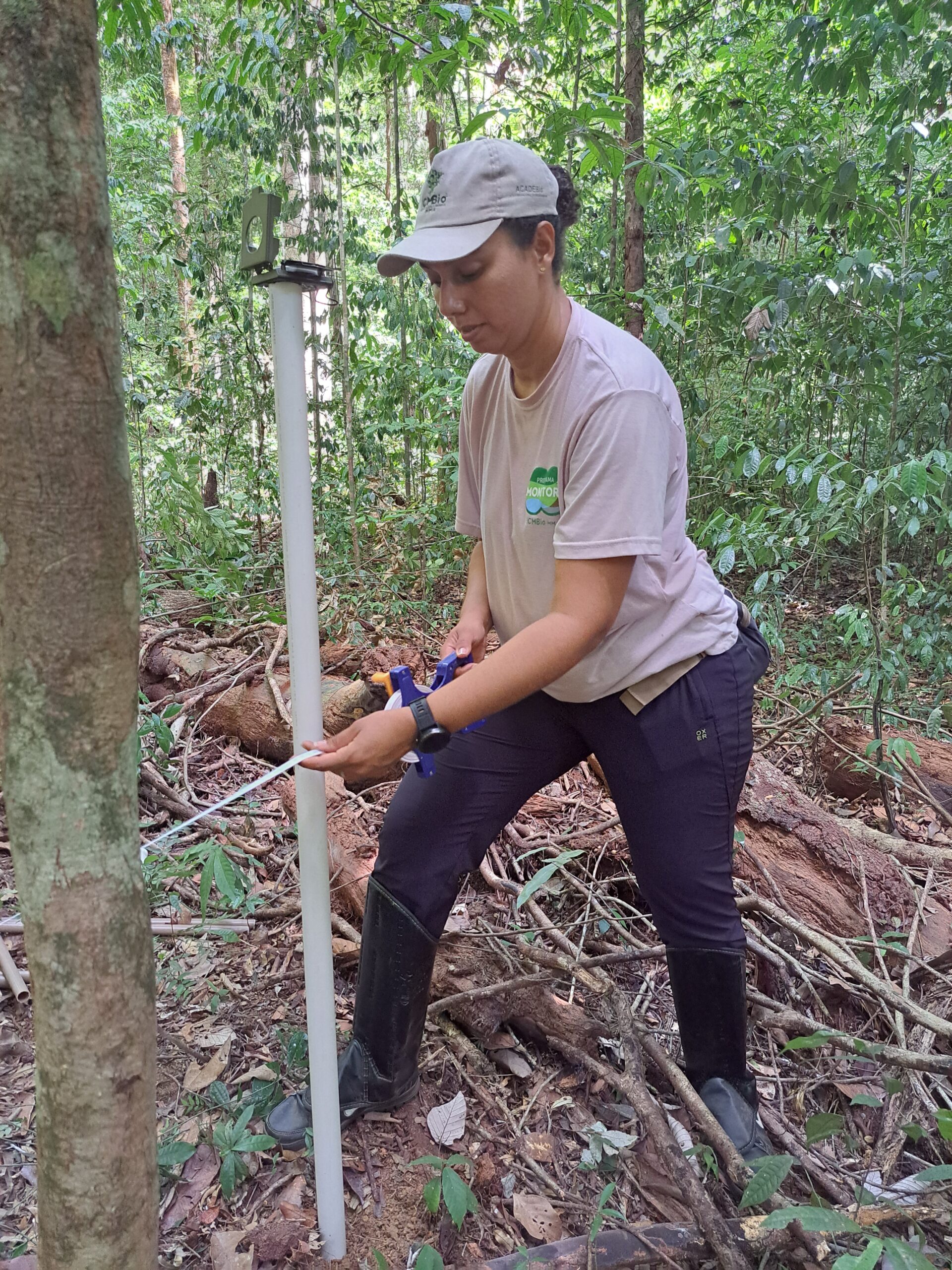 Monitoramento da biodiversidade é ampliado na Flona de Caxiuanã e inclui rastreabilidade da ...