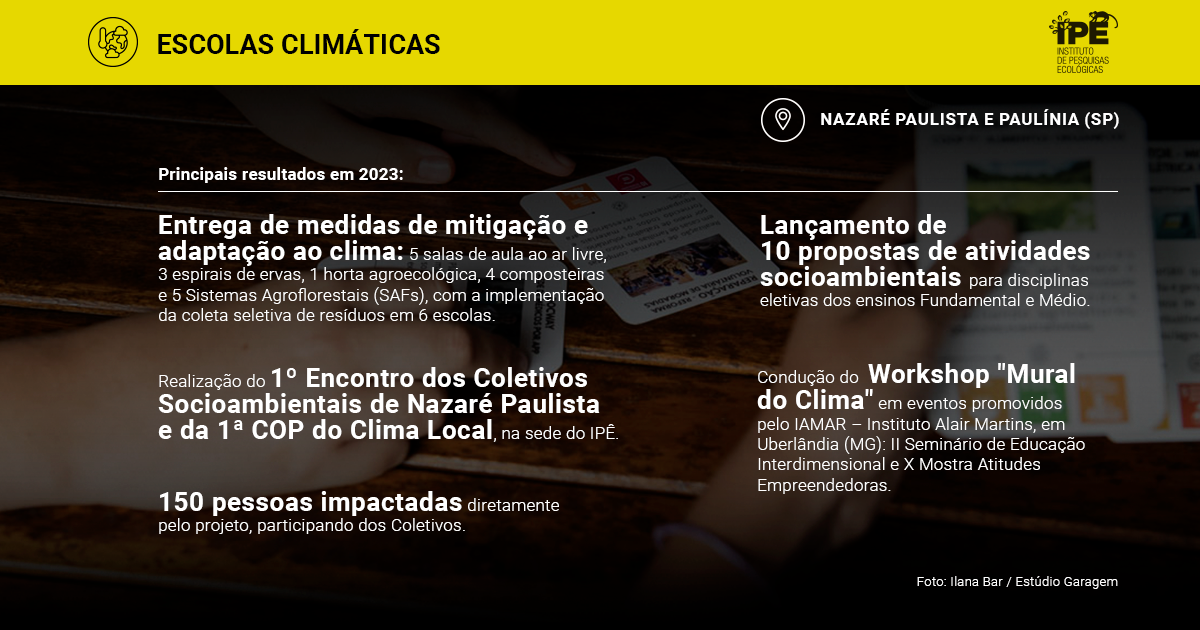 IPÊ Relatório de Atividades 2023